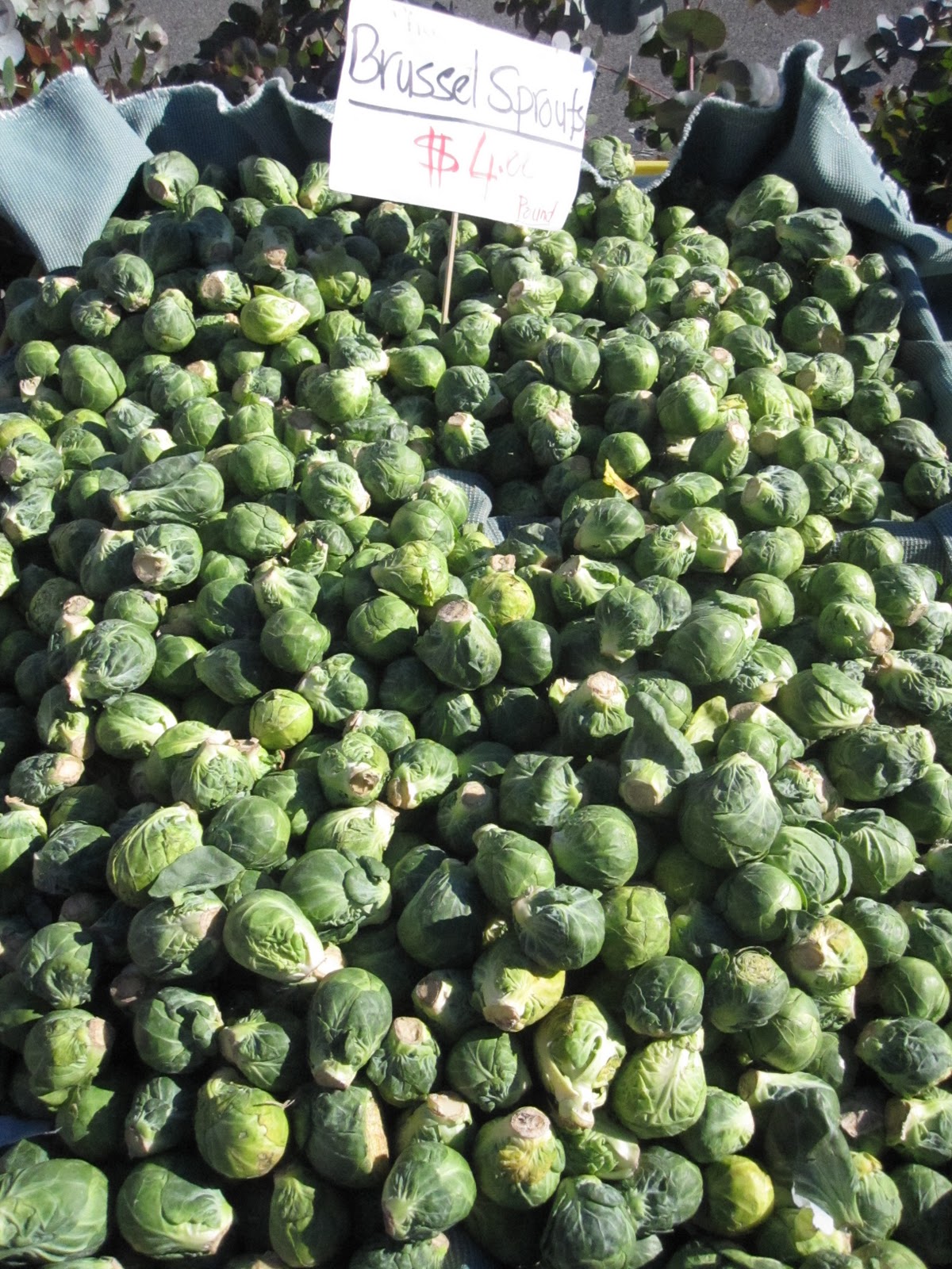 My Vegan Gut: Twisted Roasted Brussel Sprouts