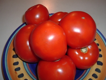 Journey of an Italian Cook: A Trilogy of Tomatoes