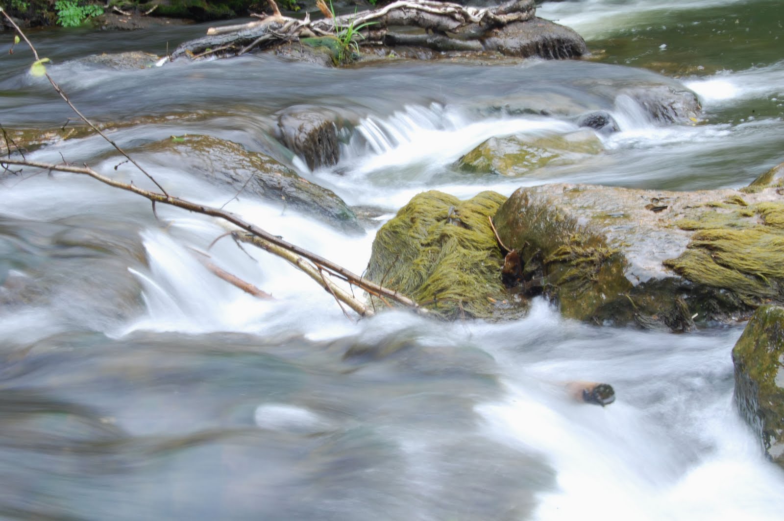 Movement: Water movement