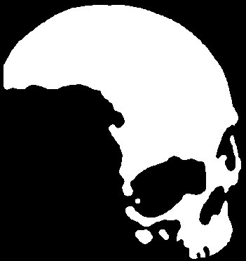 Rockin' Noiz: Stencil Punks