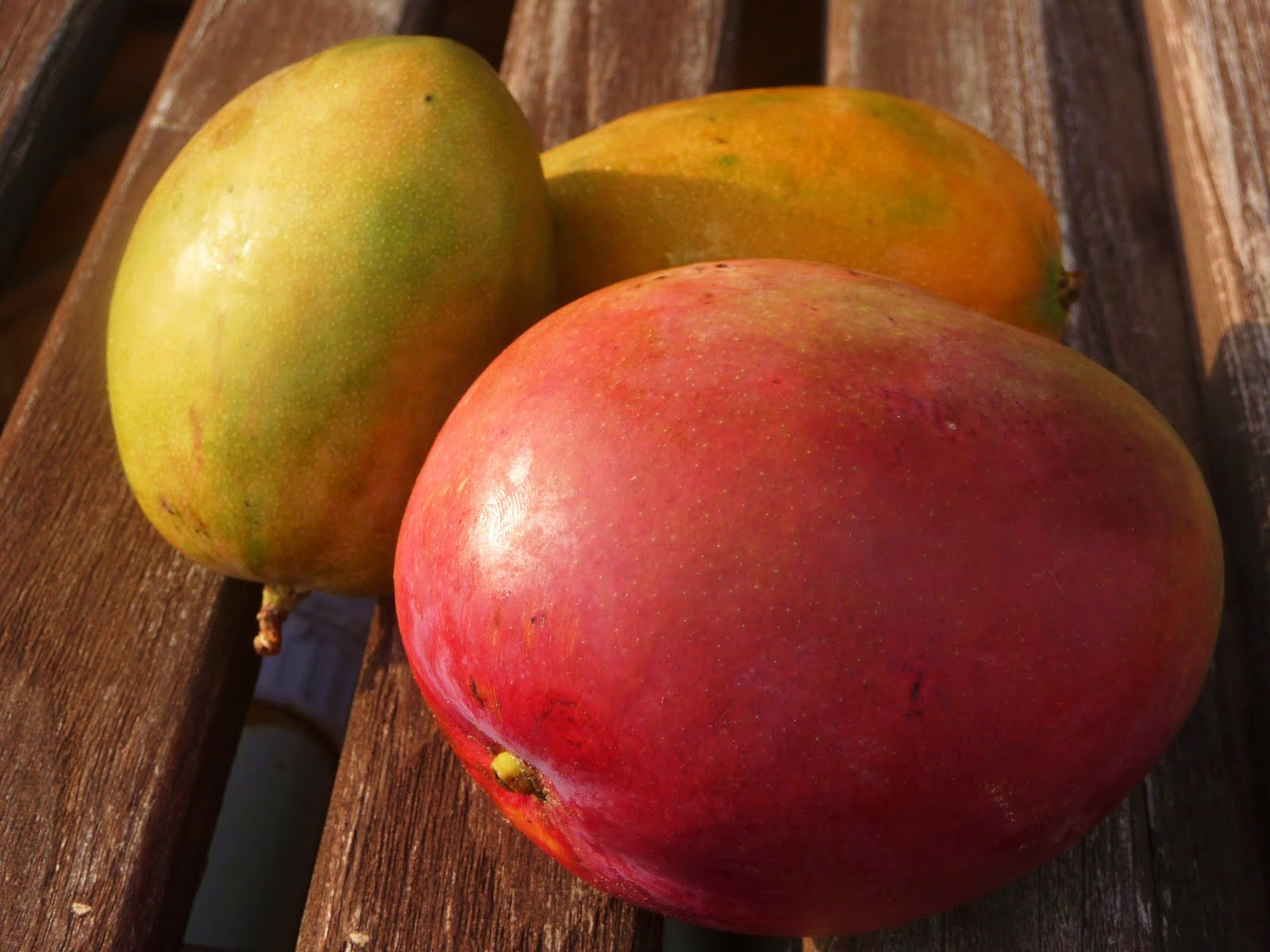 Trinidad and Tobago: Call me mango