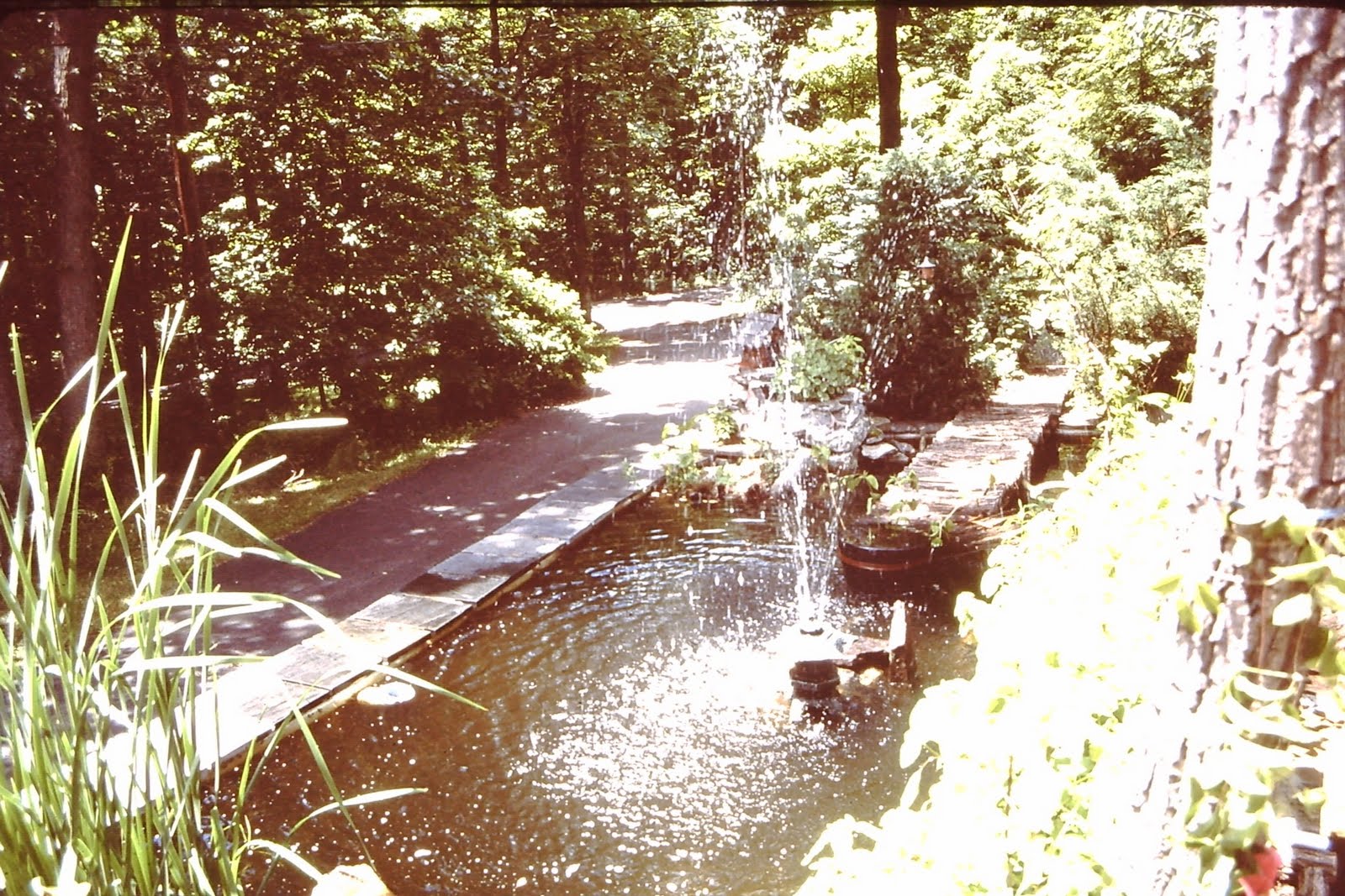 REMEMBERING PAUL D. VALVO M.D.