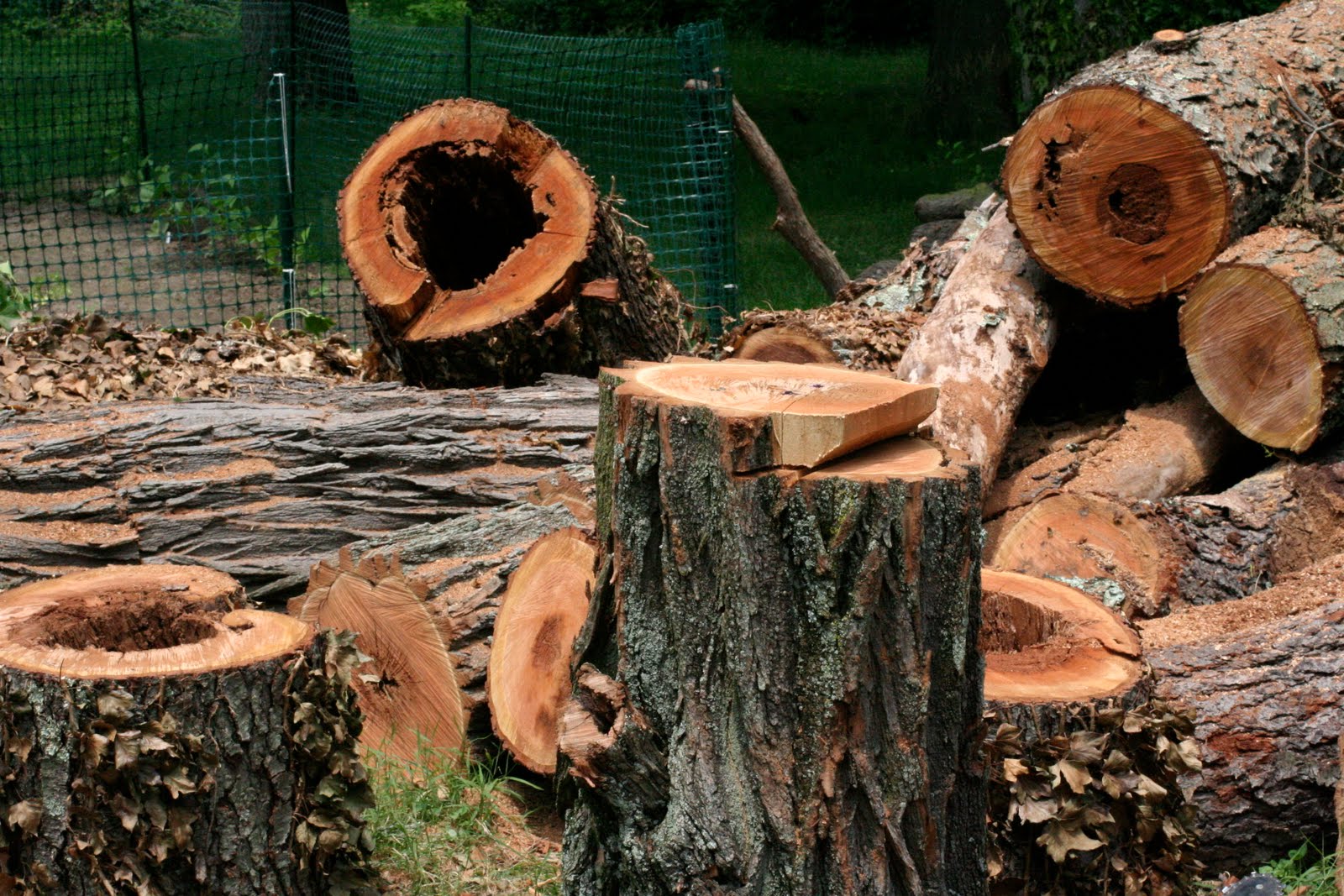 Upcycled DIY Tutorial - A Log Table & Chalkboard Sign or what to do ...
