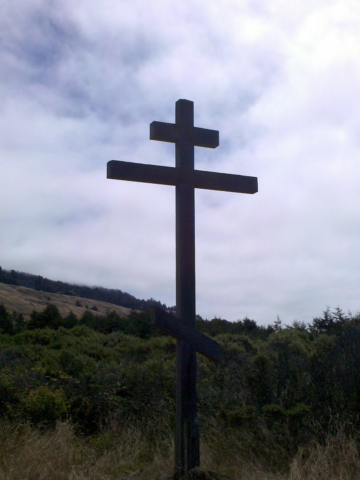 Tails of a Cemetery Bunny
