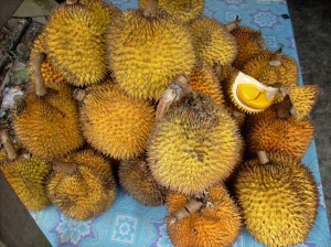 Asal-Usul : 25 Buah Langka Dari Kalimantan