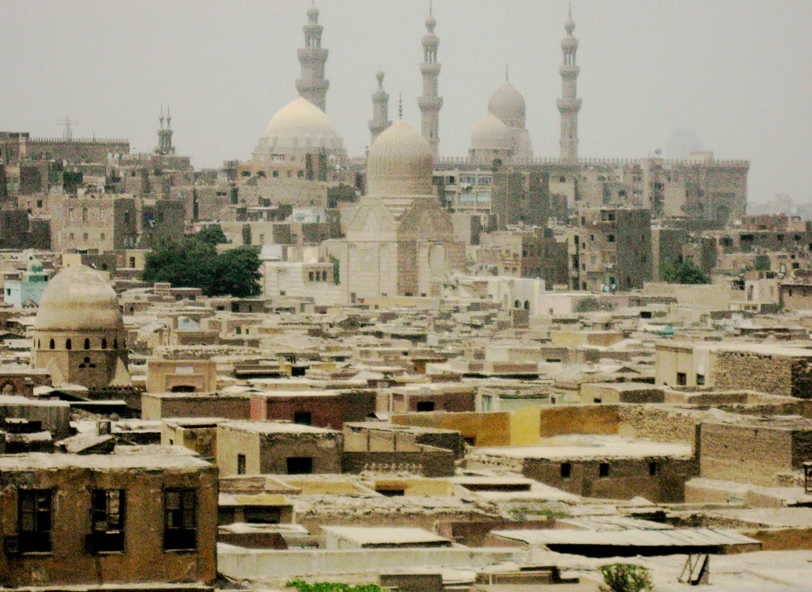 Desert Caravan: The Beauty of Islam in Cairo