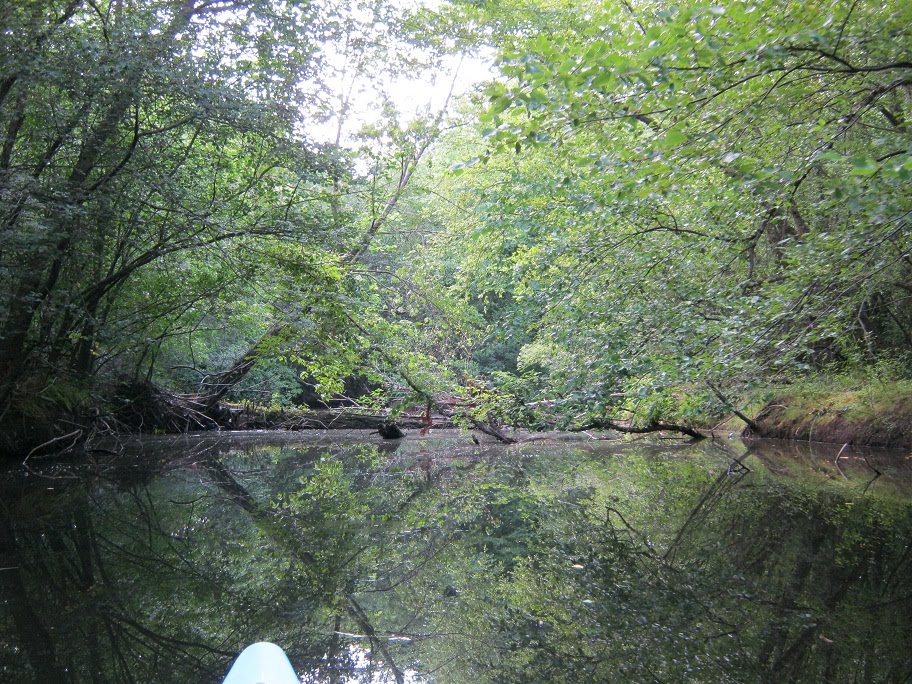 Kayak The Merrimack: Spicket River Kayak Trip- Methuen MA to Salem NH