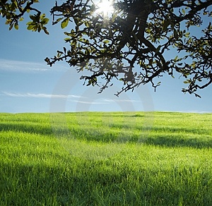 Paisagem Rural - Paisagens Bonitas - As mais belas paisagens do mundo