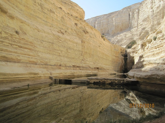 Journey to Israel 2010: The Desert and Kadesh Barnea