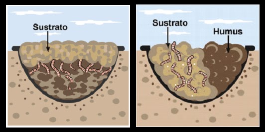 NuTriHuMuS.: ¿QUÉ ES HUMUS?