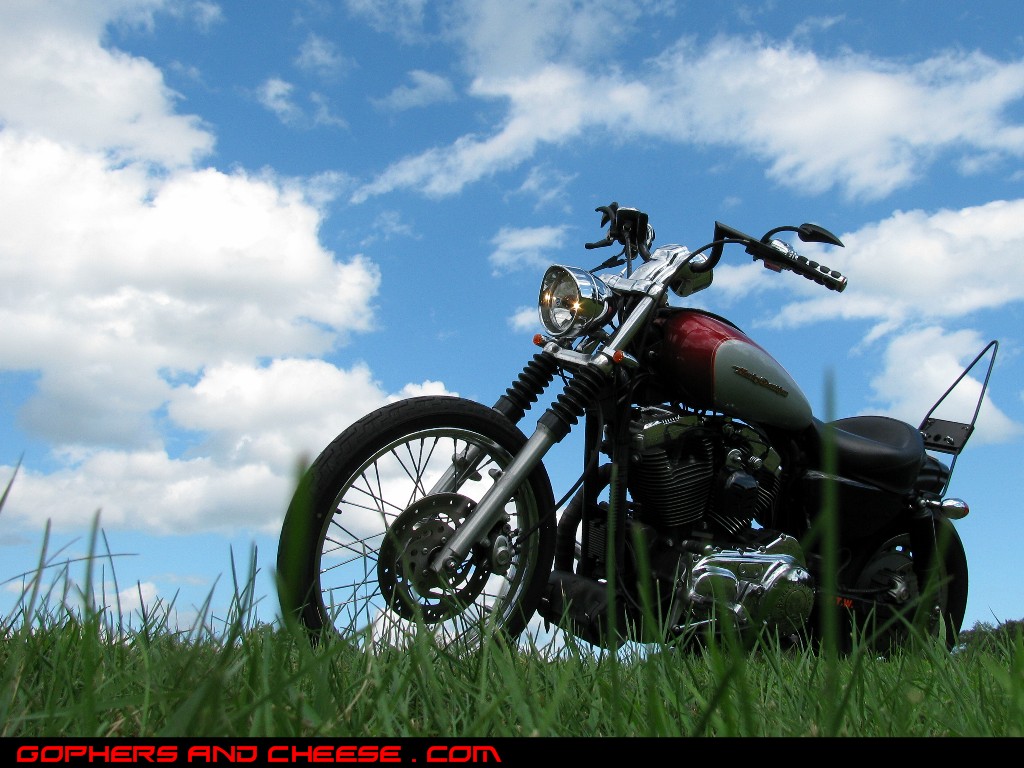 Gophers and Cheese: Top 25 of 2010