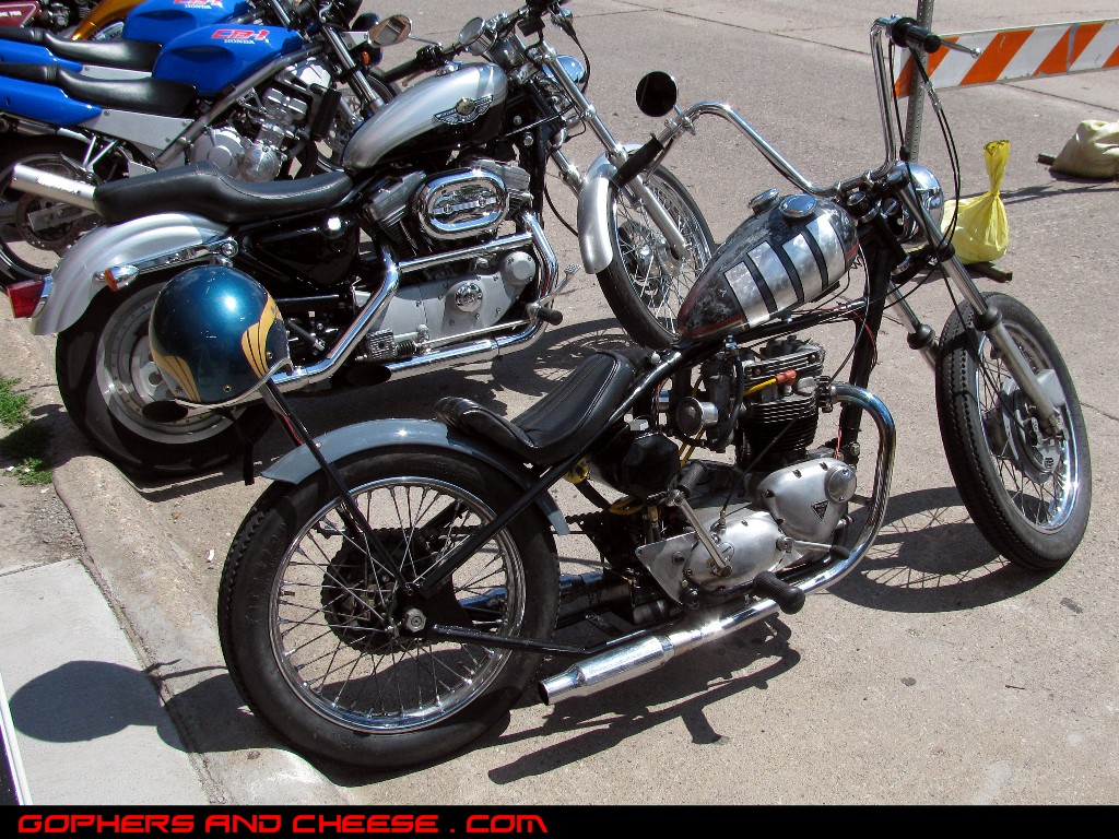 Gophers and Cheese: 2011.01