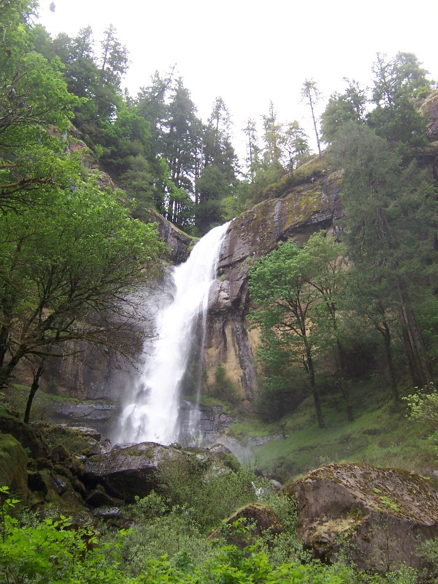 2 On the Road: Golden and Silver Falls State Park