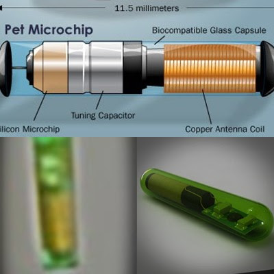 2R Hardware & Electronics: RFID Animal Glass Capsule Tag