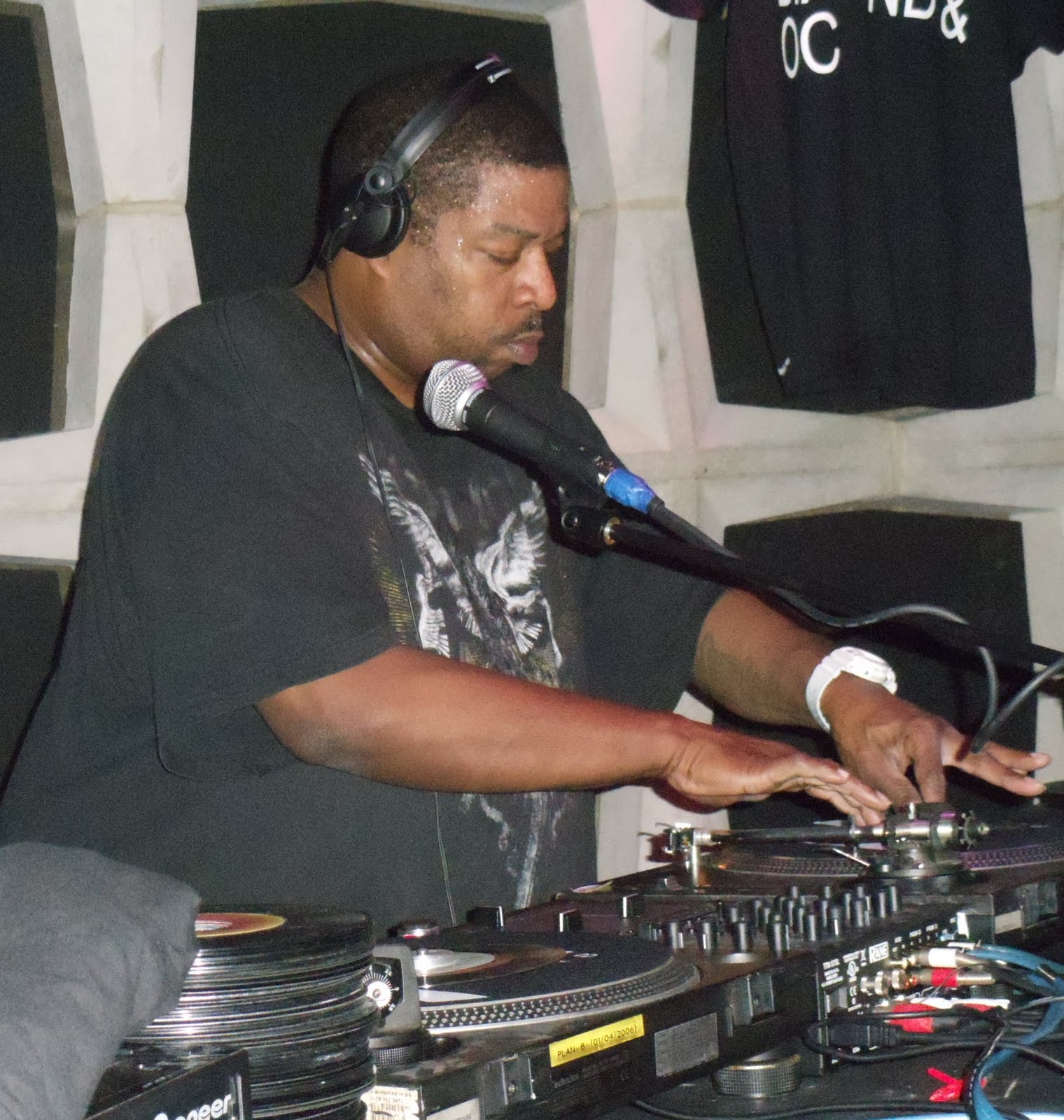 DAILY DIGGERS: The Diggers