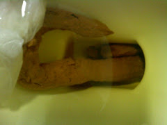 Society for Scatological Art: The Twisted Swirly Hot Chili Pepper Poop