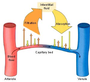 Rozaini Othman (Guru Cemerlang Biologi): Fluid Exchange