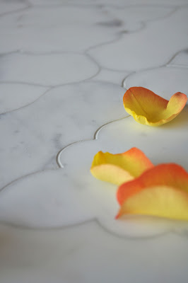 Great new patterns from New Ravenna Mosaics - CNN Times IDN