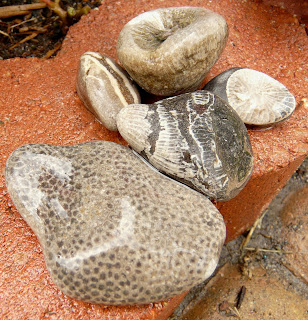 Dreamin' of Beadin': Know Your Stones: Pudding Stone