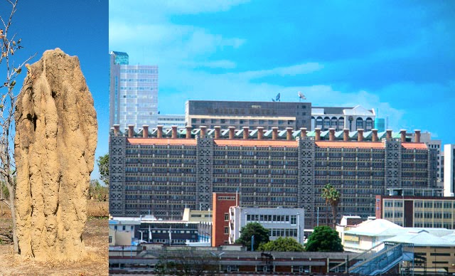 ArchiEnvironmental - All About sustainable Architecture, eco friendly ...