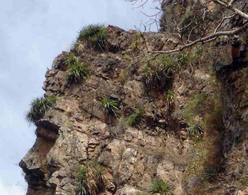 [**Lugαrєs Turιsτιcσs đє Cαscαs**]: Cristo De la Roca