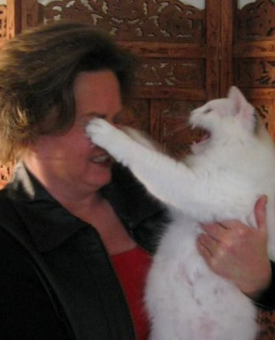 TIL a family in Texas in 1953 had a pet lion named Blondie. They never ...