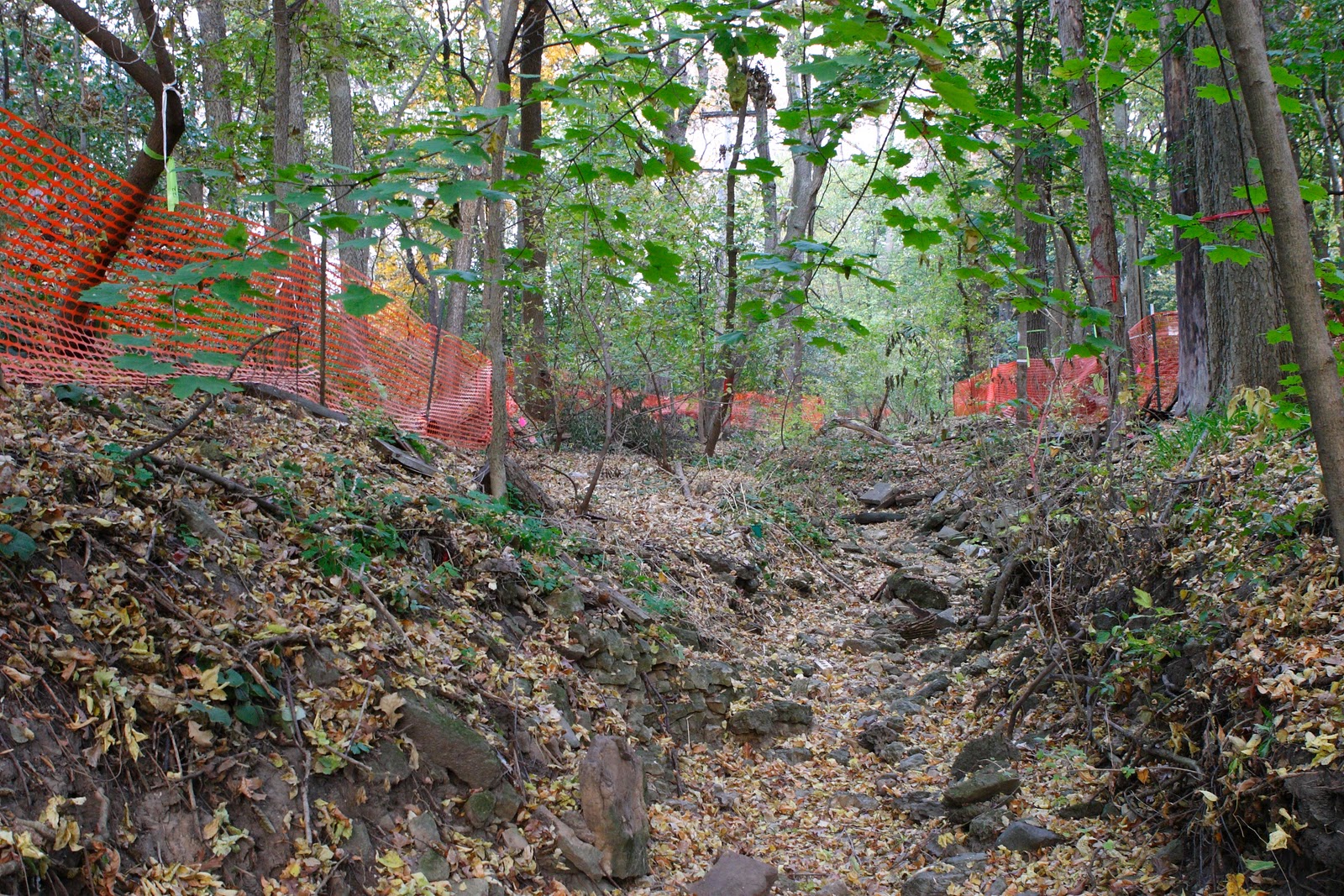 Save Our Stream: Tree protection and erosion control off to a sloppy start