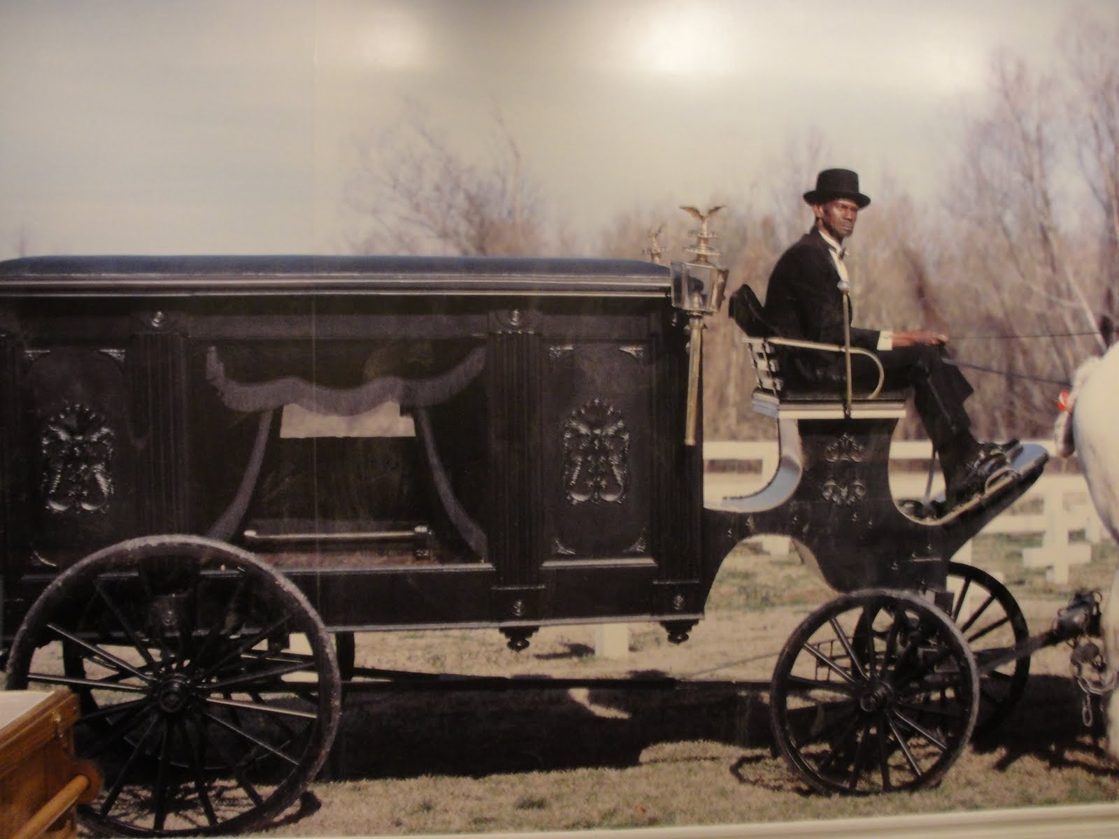 Life as we know it ...: Fascinating day ...