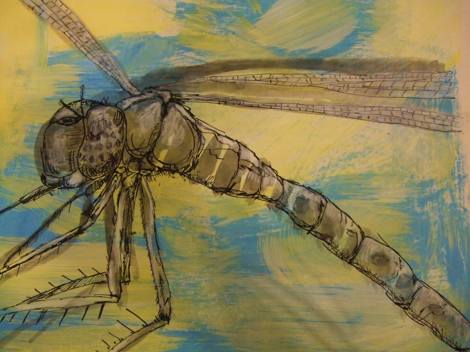 Holly's Art Spot: Insect Ink Drawings
