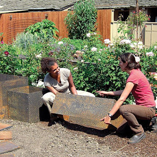 New Egyptian Garden: Raised beds