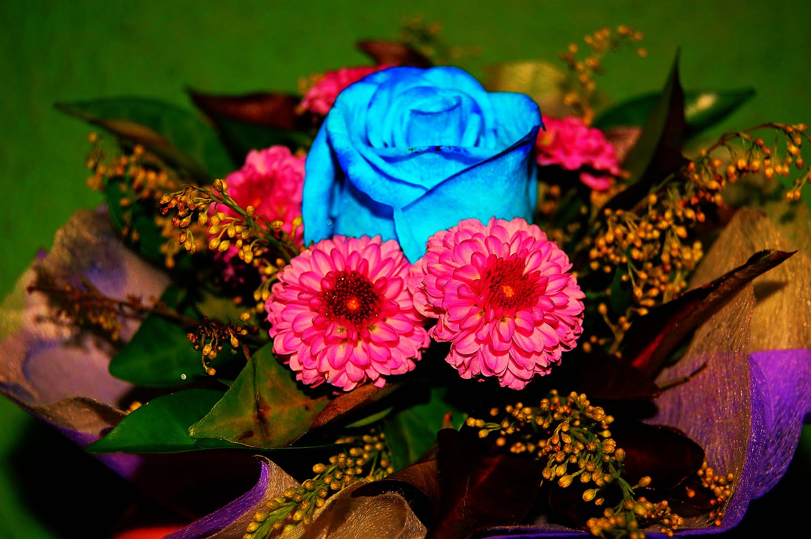 нīʛнᴅӟғīηαsī