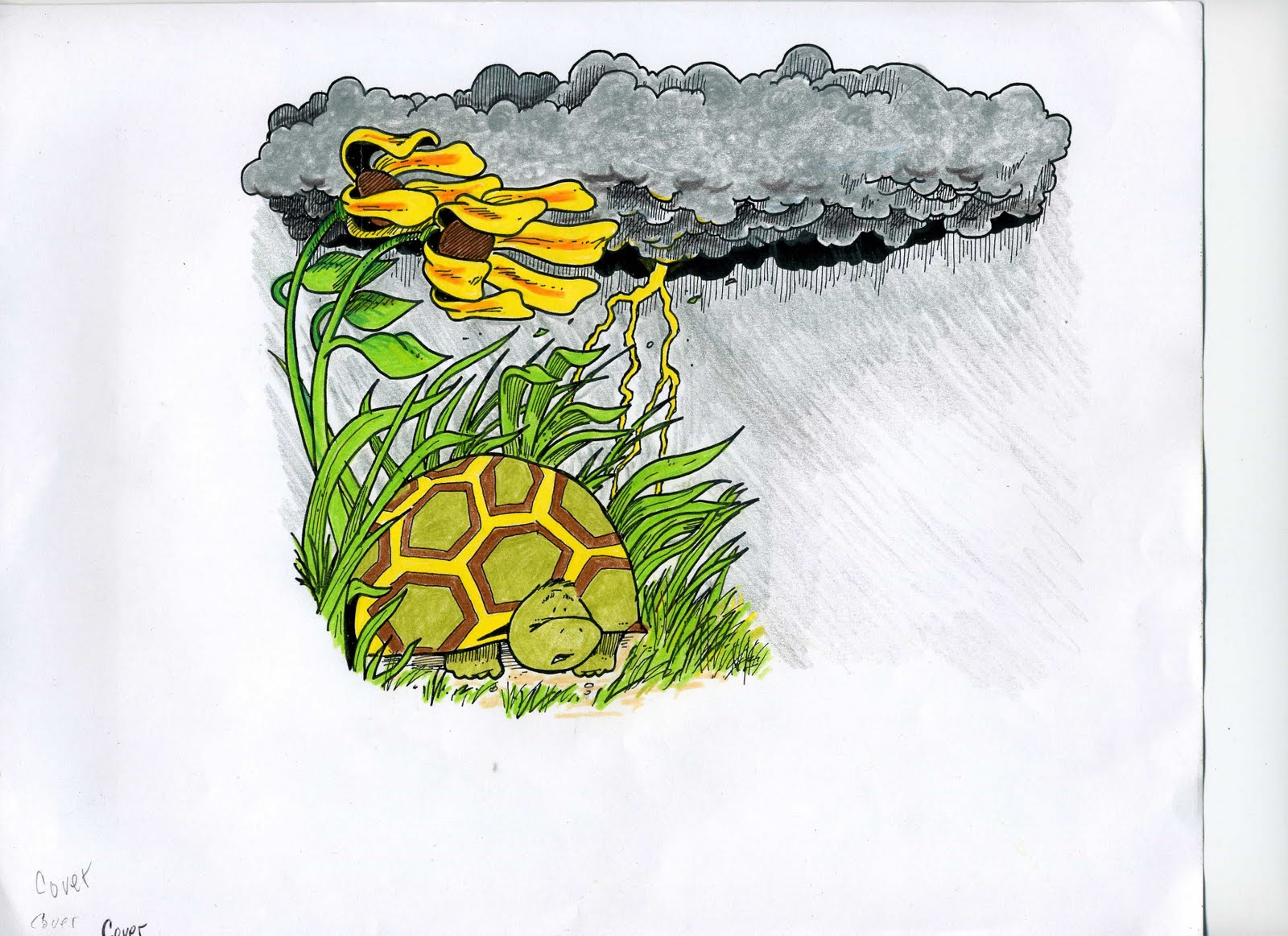 Lettie's adventures with Timmy the Turtle