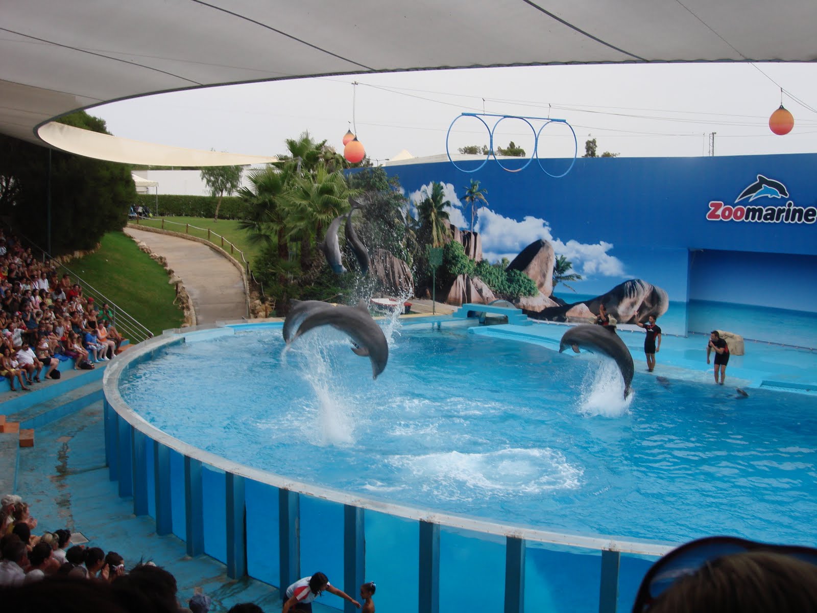 O blog da U.R.P.: Visita ao ZOOMARINE - Albufeira