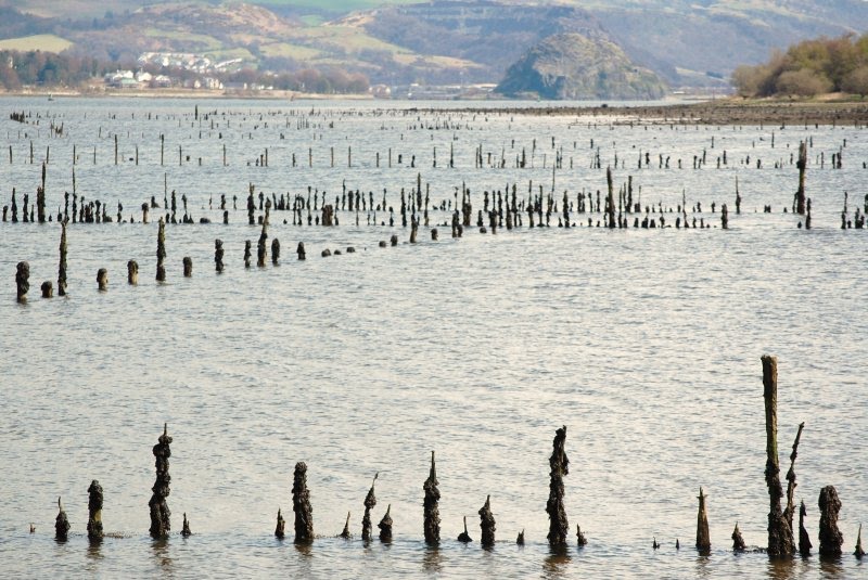 Scotland for the Senses: The timber ponds of the River Clyde