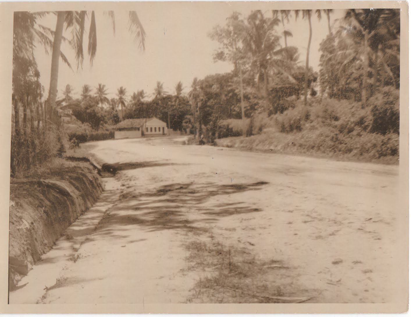 NISIAFLORESTAPORLUISCARLOSFREIRE: ESTRADA COLONIAL DE PAPARI – POVOADO ...