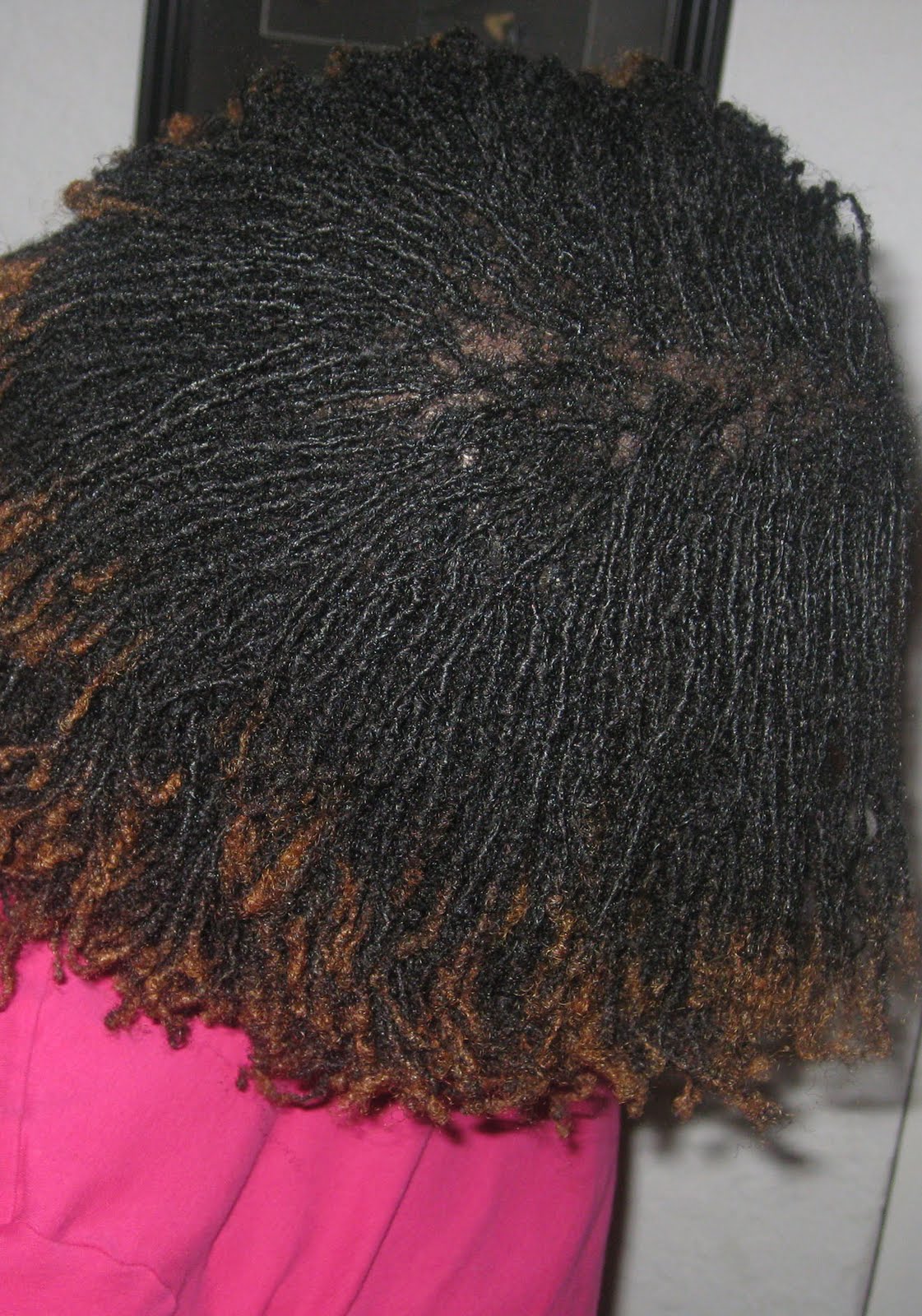 Kreyola's Journeys: Ugly Sisterlocks Stage? I think Not!