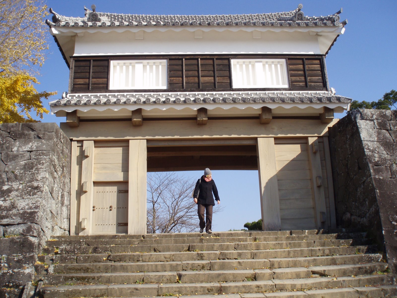 Japan: Usuki, Castle ruins and Temple Pagoda, southern Oita Prefecture