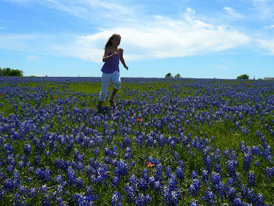 From the Desk of Bee Drunken: Sweet bluebonnet spring
