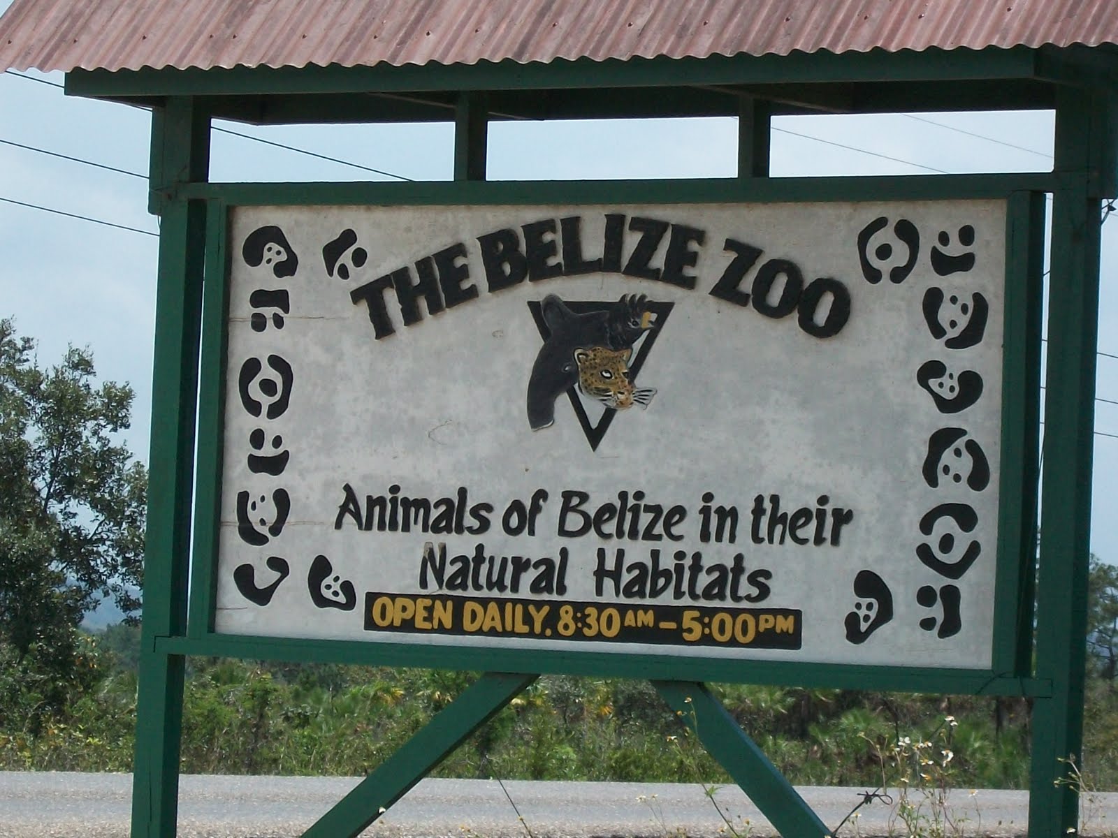 Belize Field Experience: Inland Adventures: The Belize Zoo
