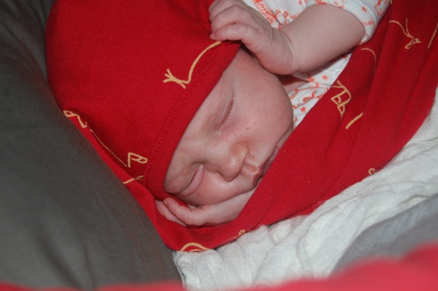 Lily-Lou's life: enfin le soleil