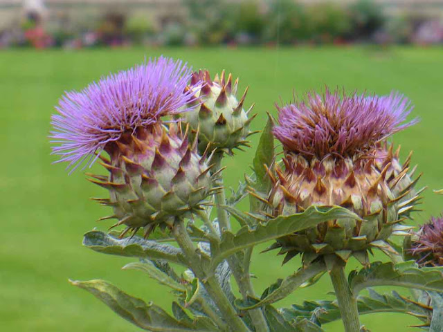 synch-ro-ni-zing: So what?