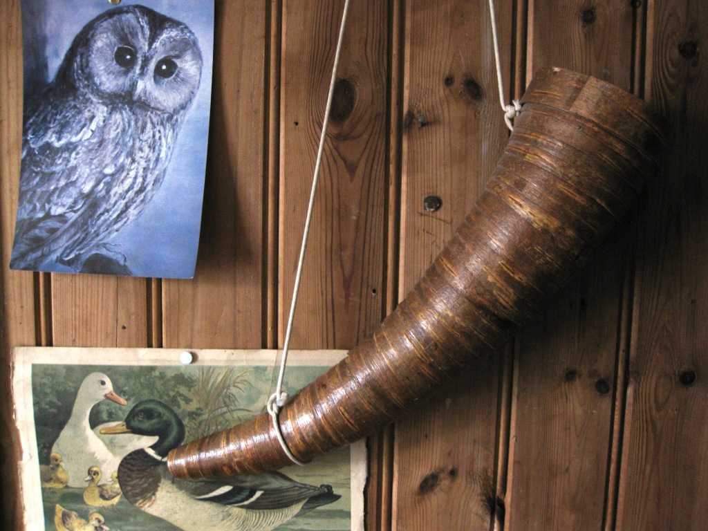 Talk:Birch trumpet - Wikipedia