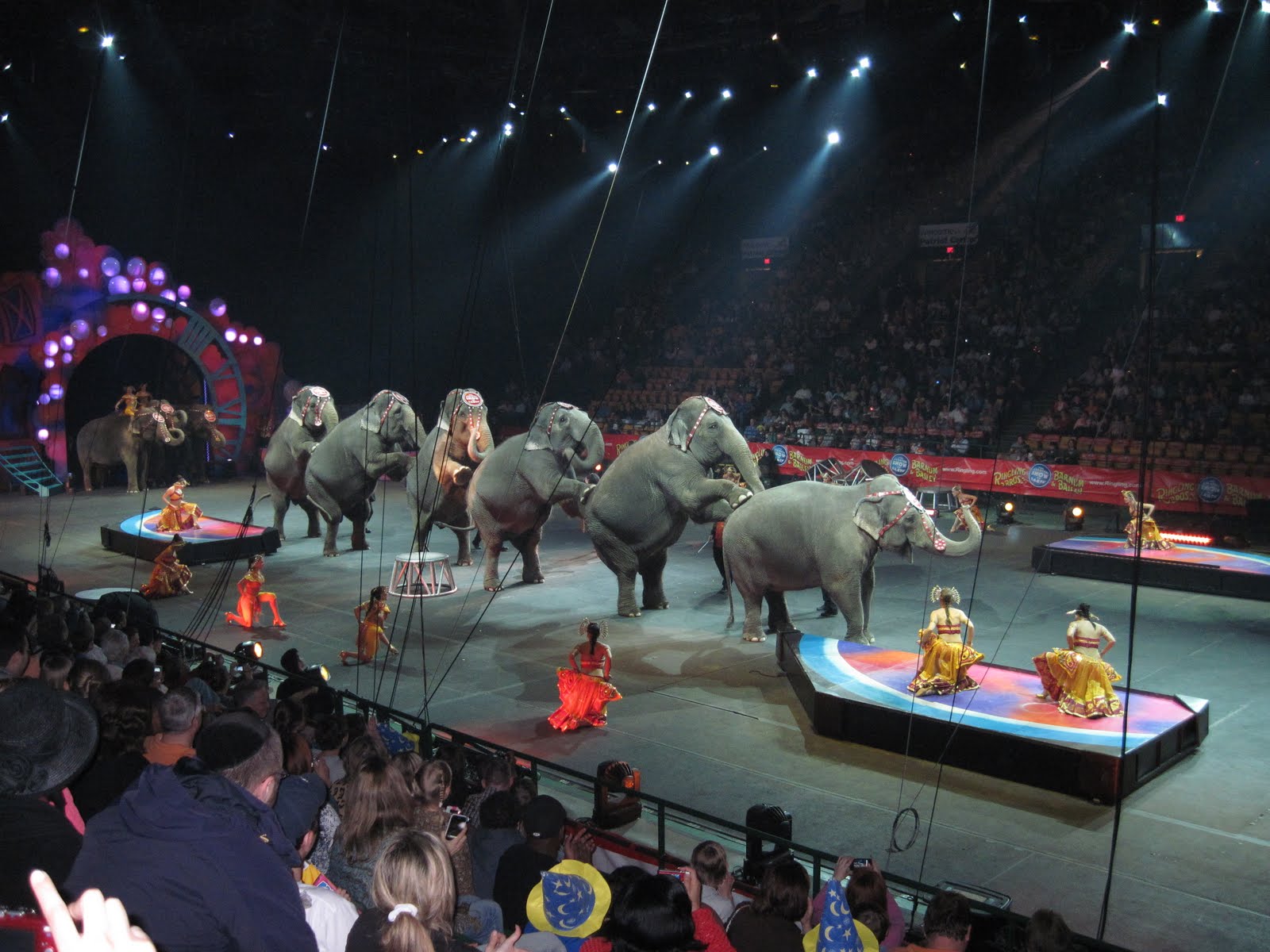 Our Little Circus: the greatest show on Earth