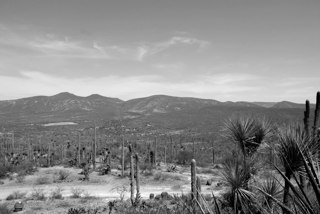 Dave Malleus: San Juan Raya