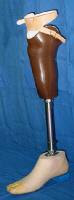 Lower Extremity Prosthesis Components | THE BLOG and FRIEND's