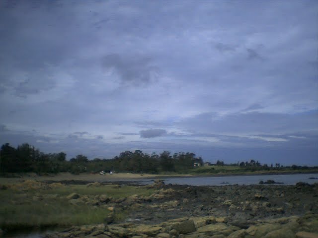 Biologismos: Playa La Colorada y Playa Rocha, Montevideo, Uruguay