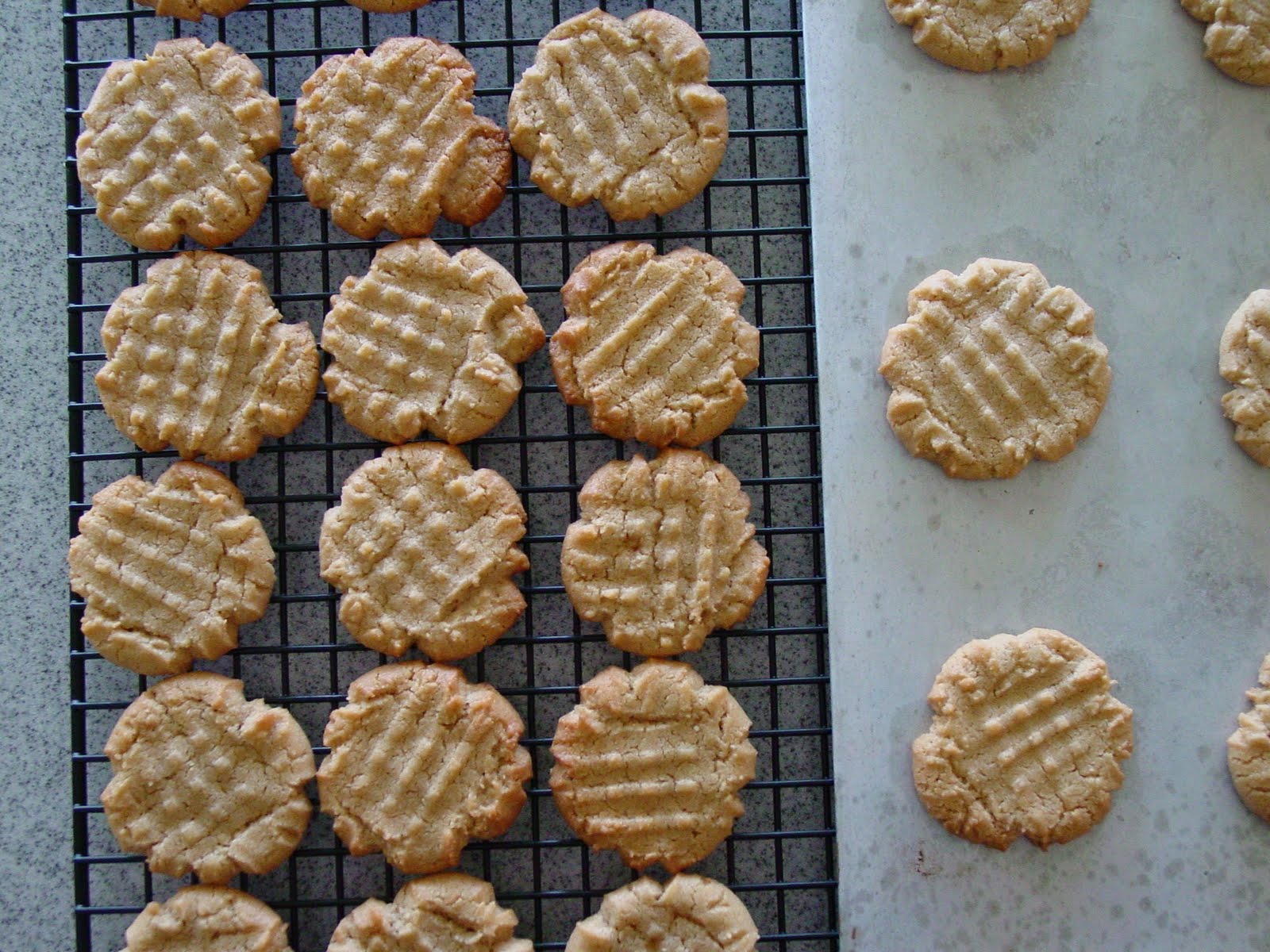 Welfare Peanut Butter