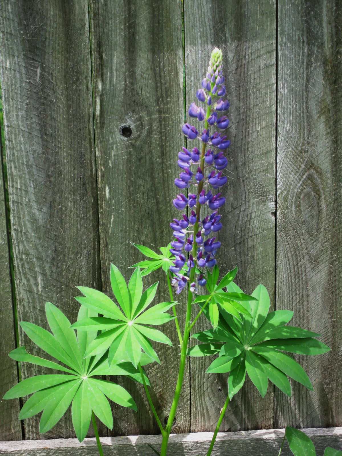 millertime: June 2010