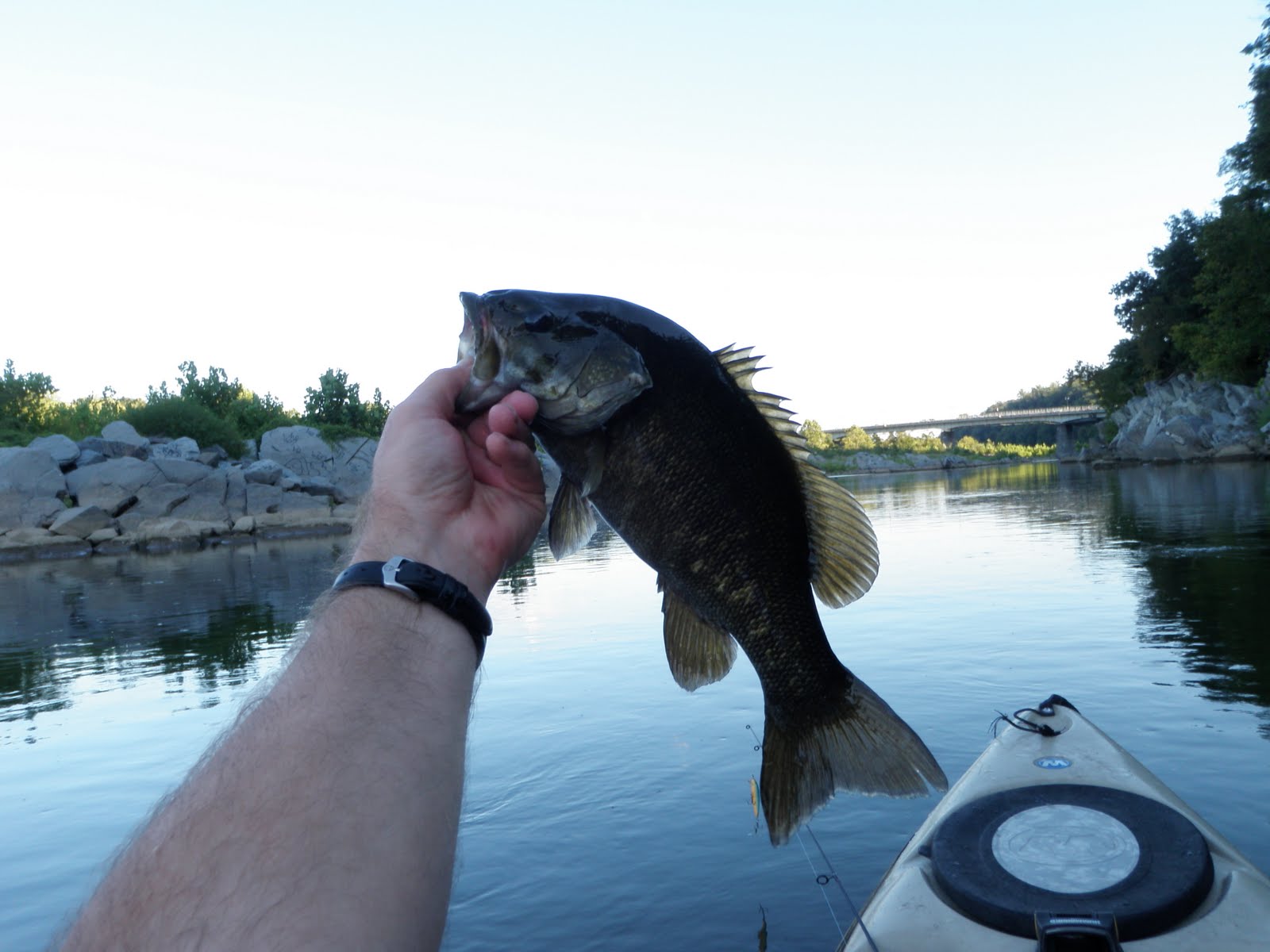 I only work to finance my fishing:): Potomac above chain bridge 9/14 ...