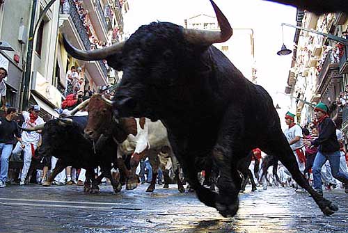 La Cultura Española: Corrida de toros